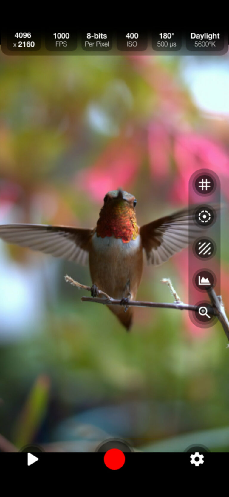 Chronos 4K12 High-Speed Camera | Kron Technologies